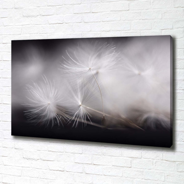 Brayden Studio Löwenzahnsamen - Kunstdrucke auf Leinwand - Wrapped Canvas | Wayfair.de
